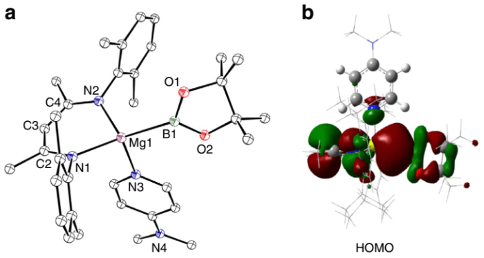 Publications – Colebatch Lab
