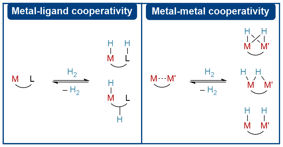 Publications – Colebatch Lab