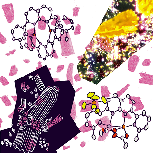 Publications – Colebatch Lab