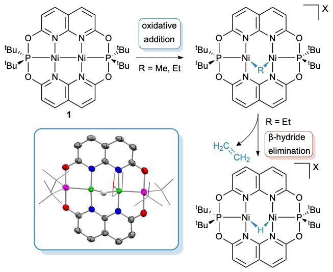 Publications – Colebatch Lab