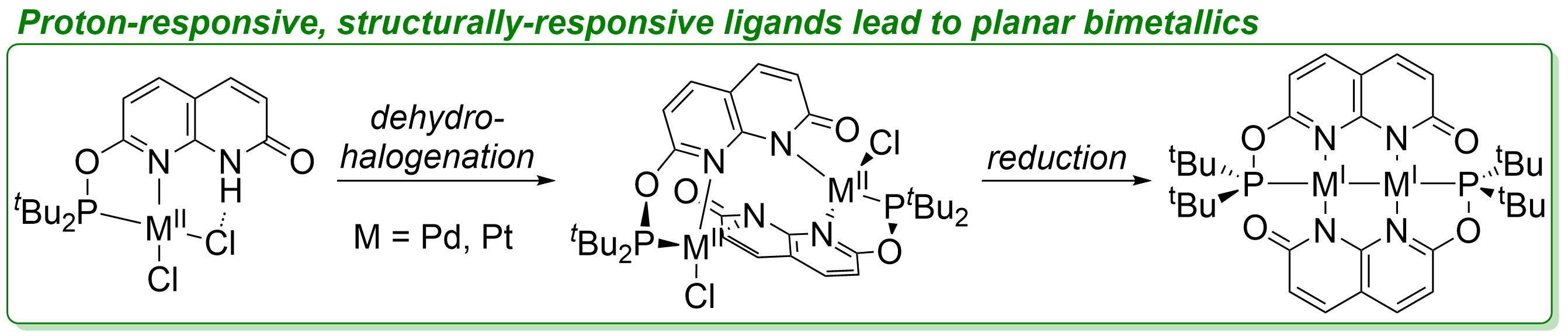 Publications – Colebatch Lab